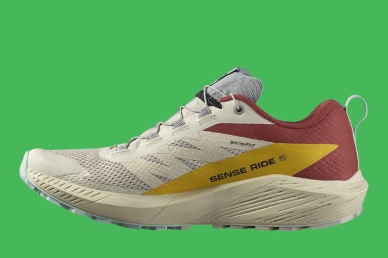 Salomon Sense Ride 5 (Test 2026) : la plus polyvalente