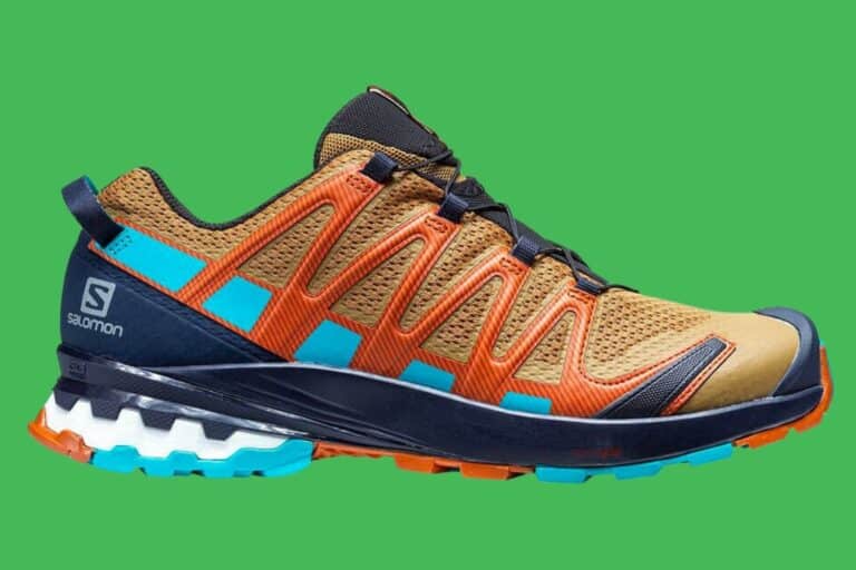 5 meilleures chaussures de trail pour la randonnée (guide 2024)